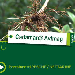 Cadaman® Avimag